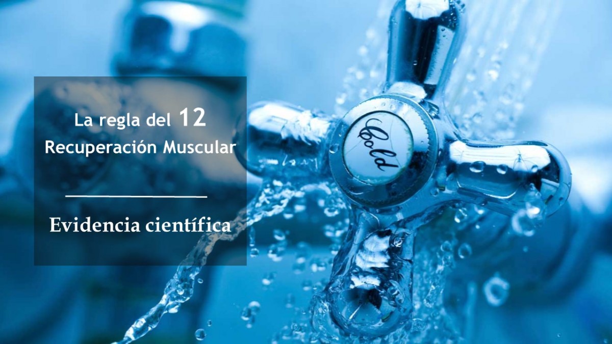 La regla del 12 para LA RECUPERACIÓN MUSCULAR - Check your motion
