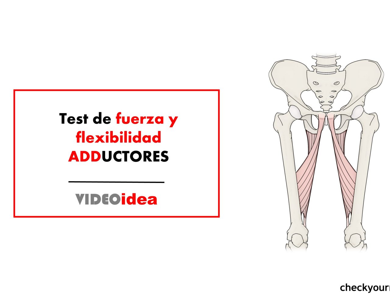 aductores archivos - Check your motion