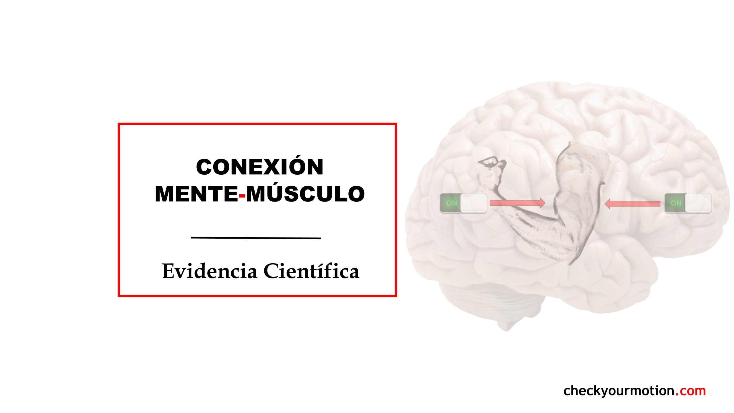 🧠-💪🏻||Conexión mente-músculo|| - Check your motion