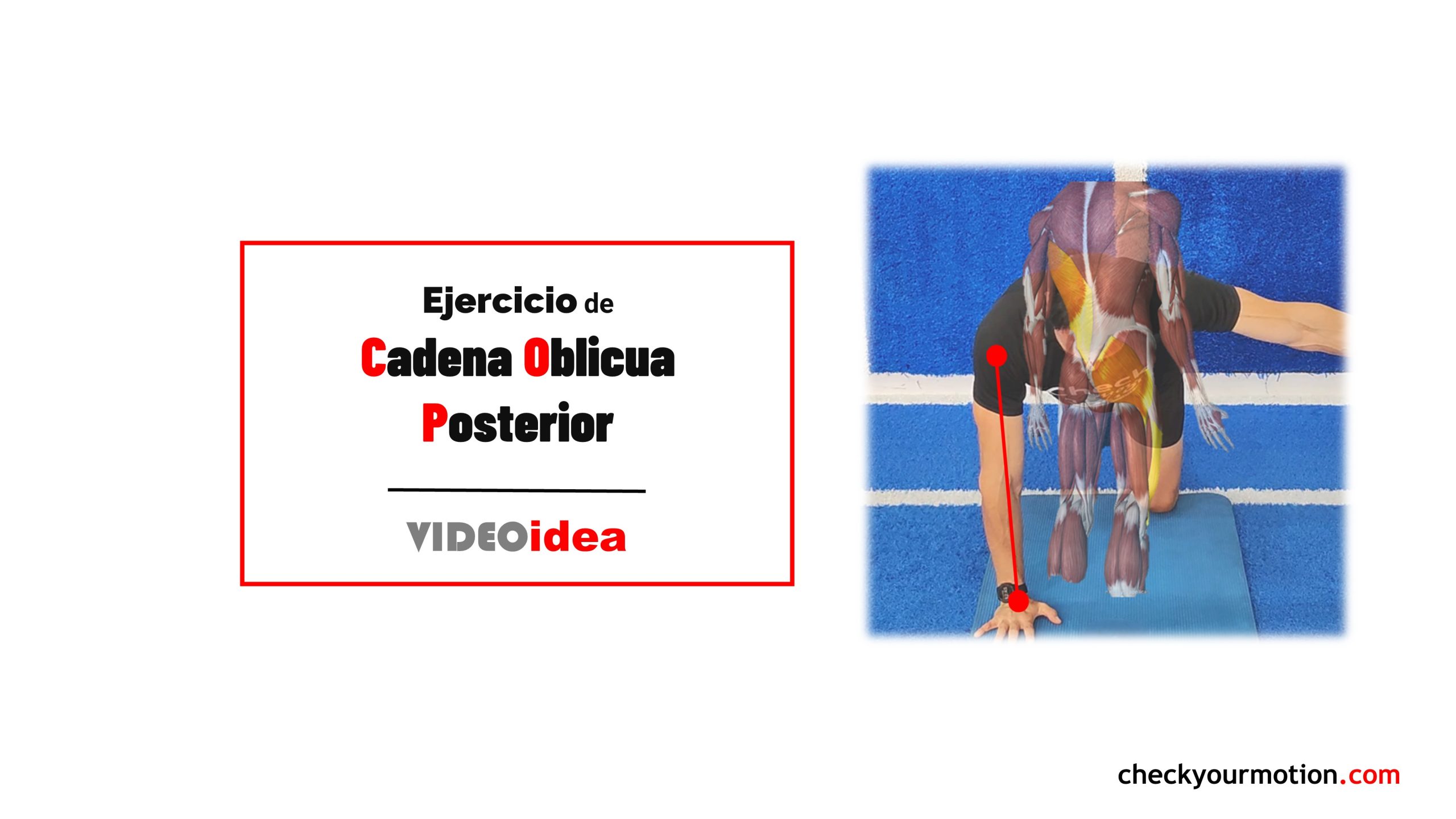 Ejercicio 🔝 para la Cadena Oblicua Posterior: Glúteo y Dorsal Ancho ...