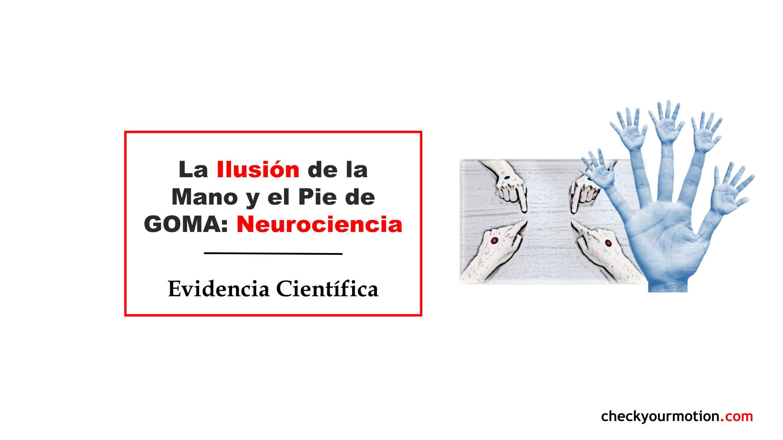 La Ilusión de la Mano de Goma y su Aplicabilidad en las Extremidades ...